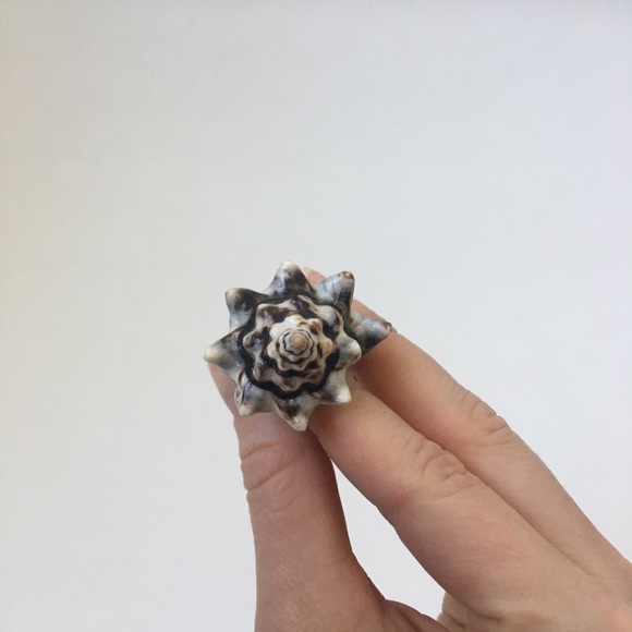Vintage | Jewelry | Vintage Natural Shell Ring | Poshmark